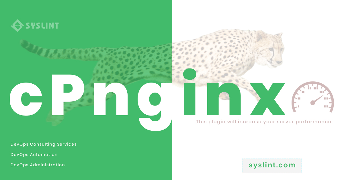 cPanel Nginx Plugin - High-Performance Nginx on cPanel | Cpnginx